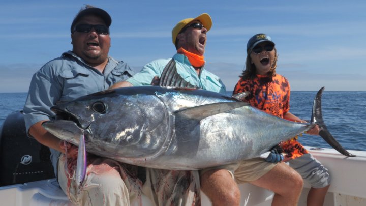 How To: Catching Bluefin Tuna on Stick Baits - Salty Cape