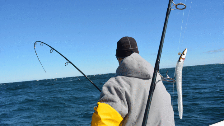 Selecting the Best Striper Rods for Catching Striped Bass