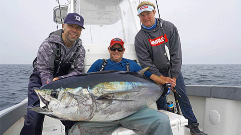 Best Line, Leaders and Terminal Connections for Tuna Fishing