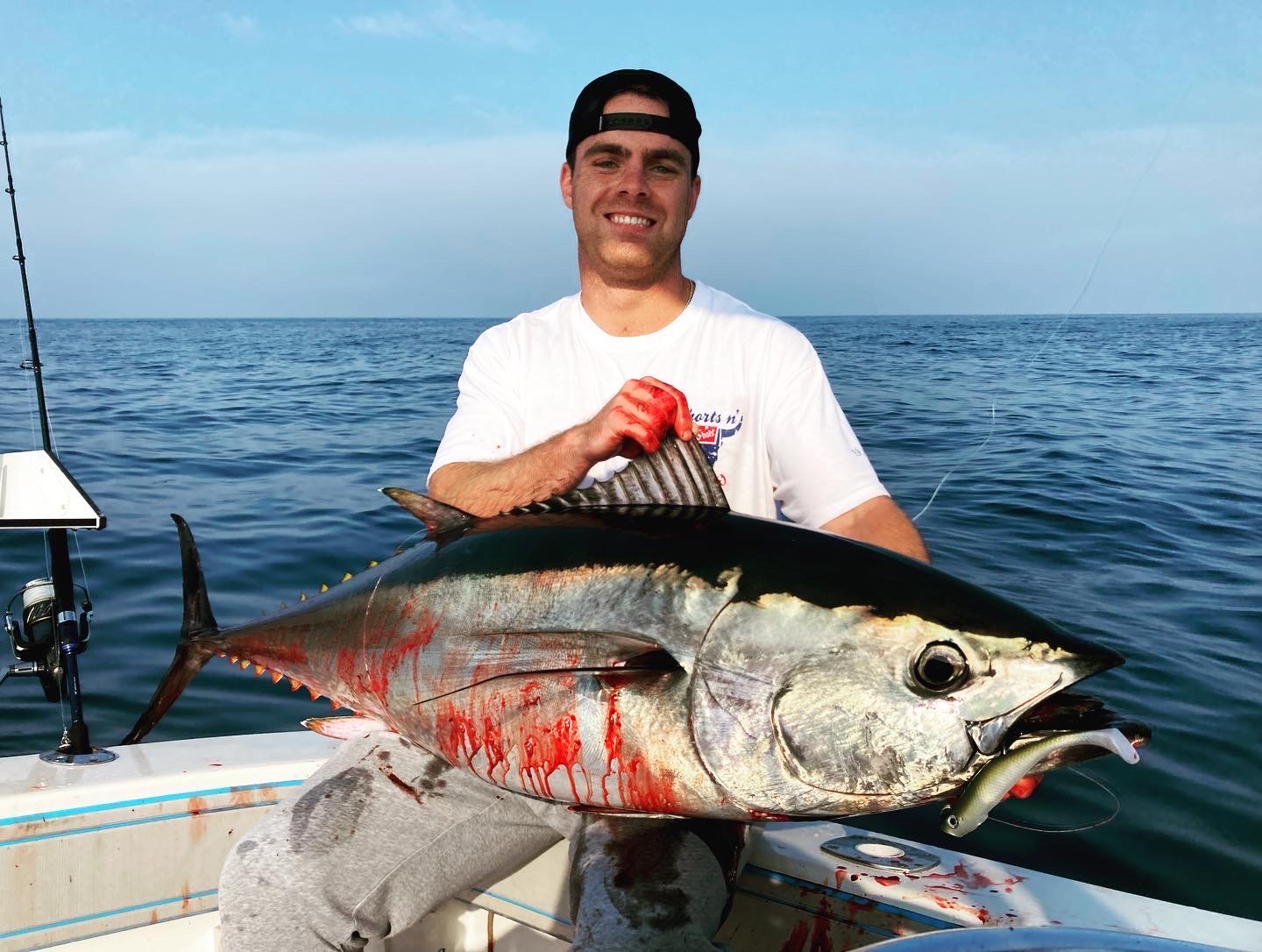 Bluefin Tuna Favorite Baits and What Lures to Use to Imitate Them