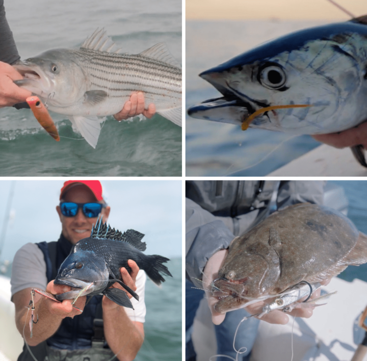 How To: 11 Iconic Spots (and videos) for June Cape Cod Fishing - Salty Cape
