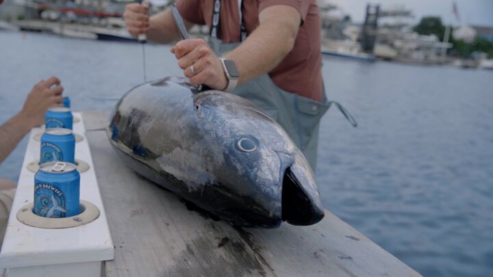 How-To: Fillet a Bluefin Tuna - Salty Cape